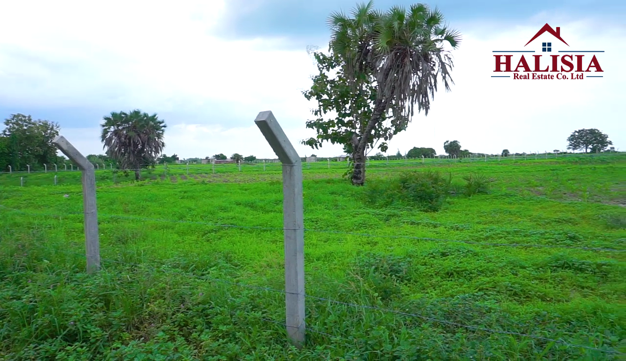 Halisia Real Estate – The best Investment on Earth Is Land